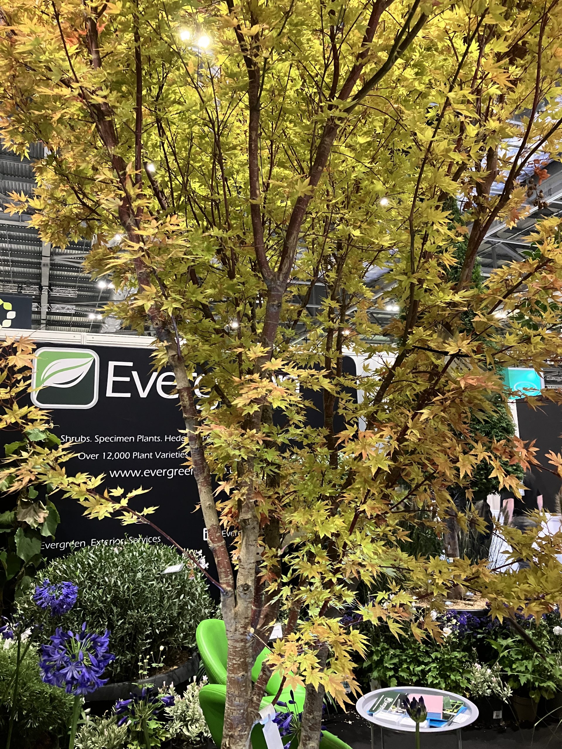 FutureScape, the UK’s largest annual trade event for landscaping ...